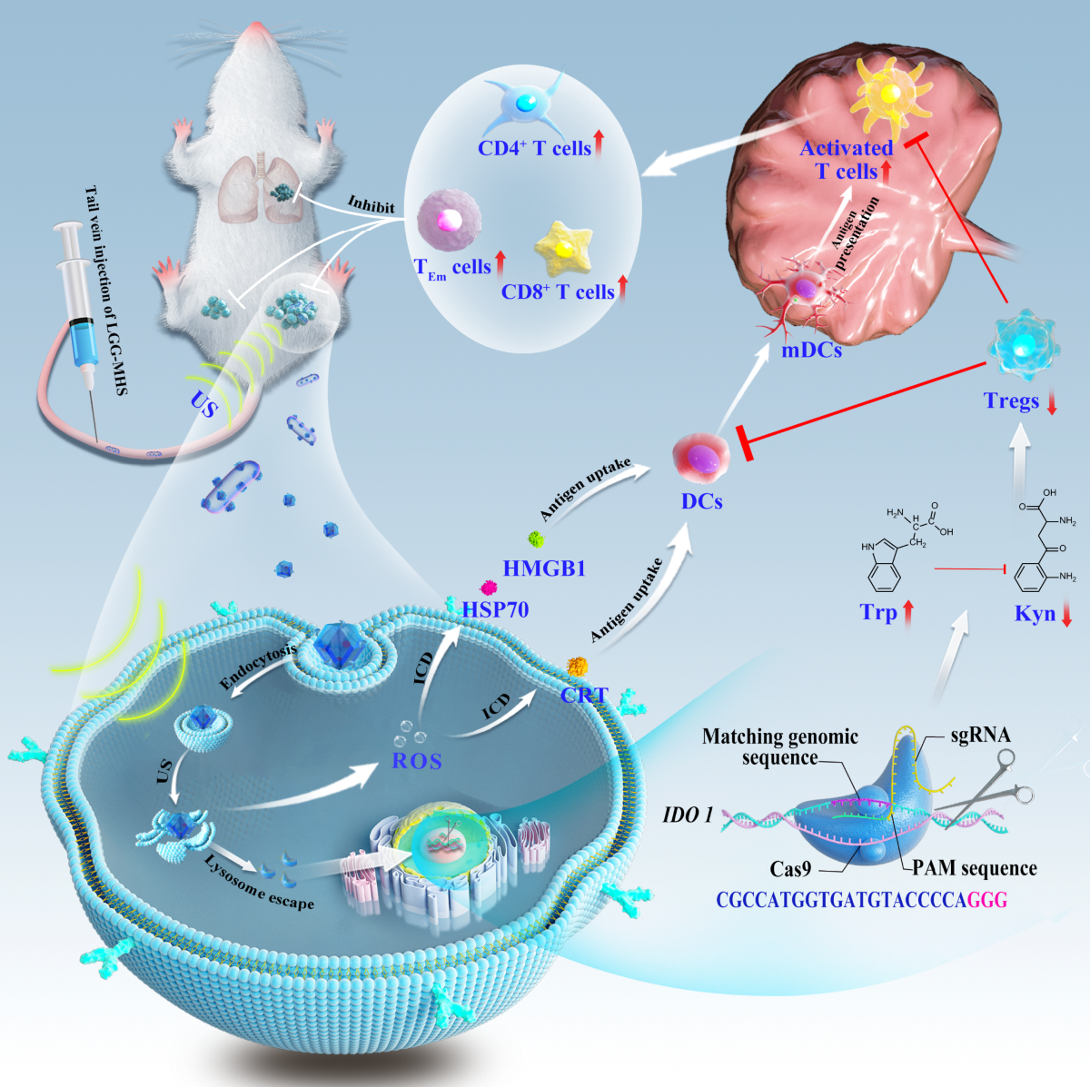 Probiotics & Synbiotics CDMO Services - Elise Biopharma